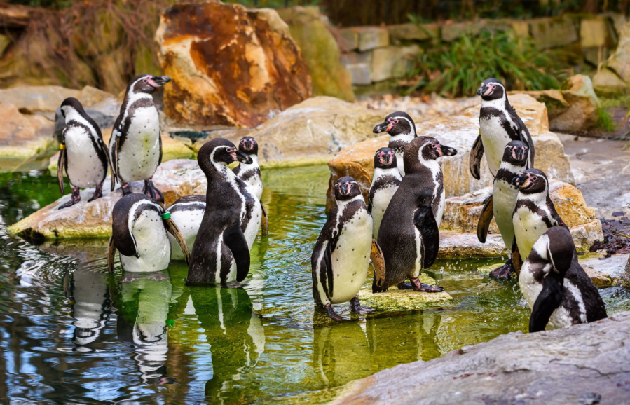 ZOO ZLÍN - Nejnavštěvovanější turistické místo na Moravě